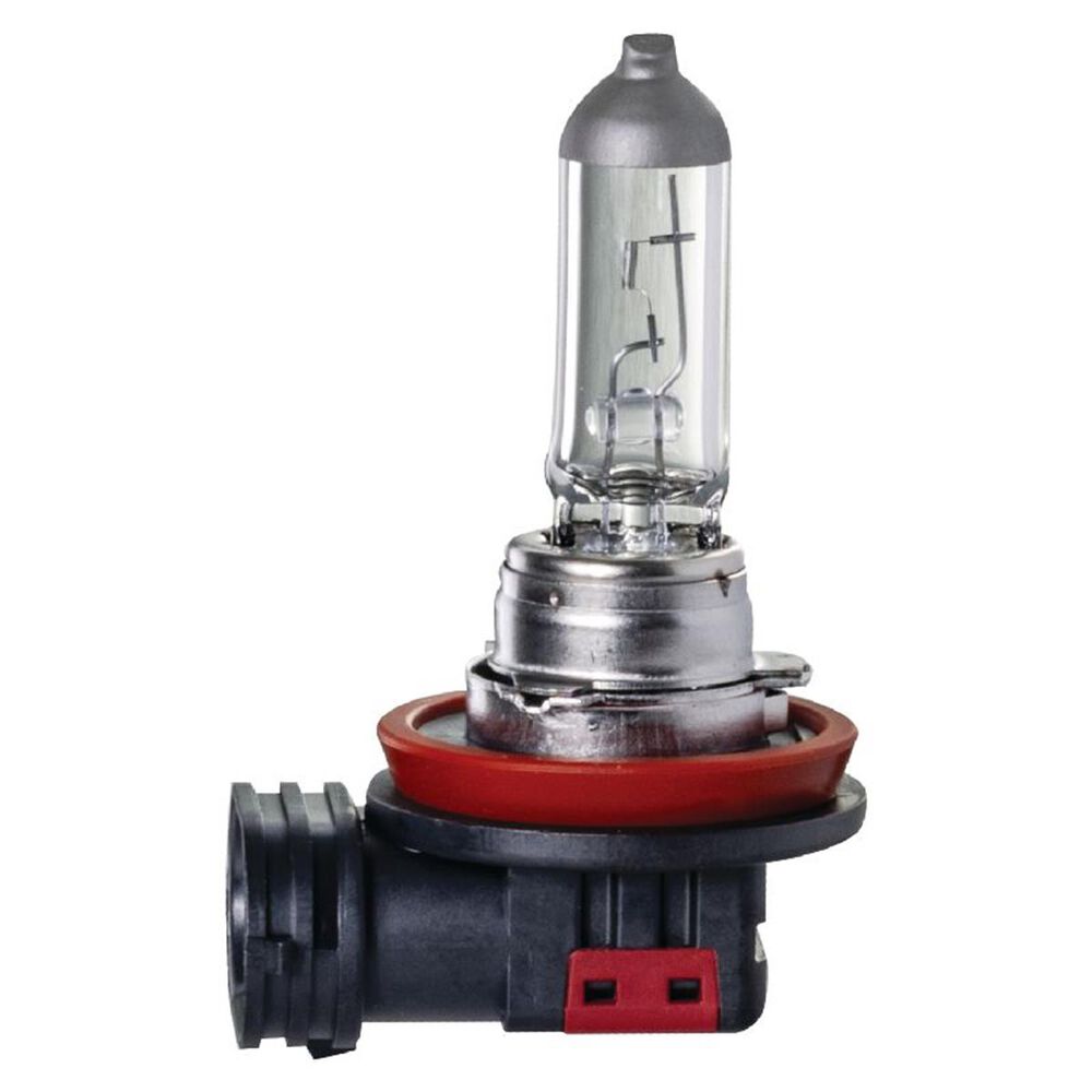 Ignite H16 19W Halogen Globe with PJ19-3 Base - 1pk - IGL2162BL ...