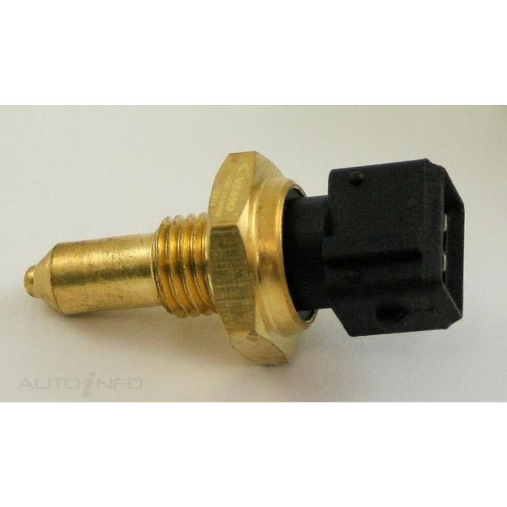 RAE Coolant Temperature Sensor - CS898 | Supercheap Auto