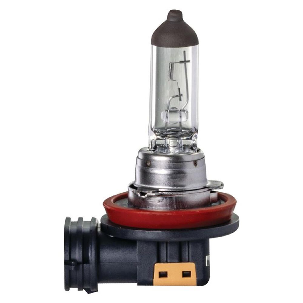 Ignite H8 35W Halogen Globe with PGJ1-1 Base - 1pk - IGL2801BL ...