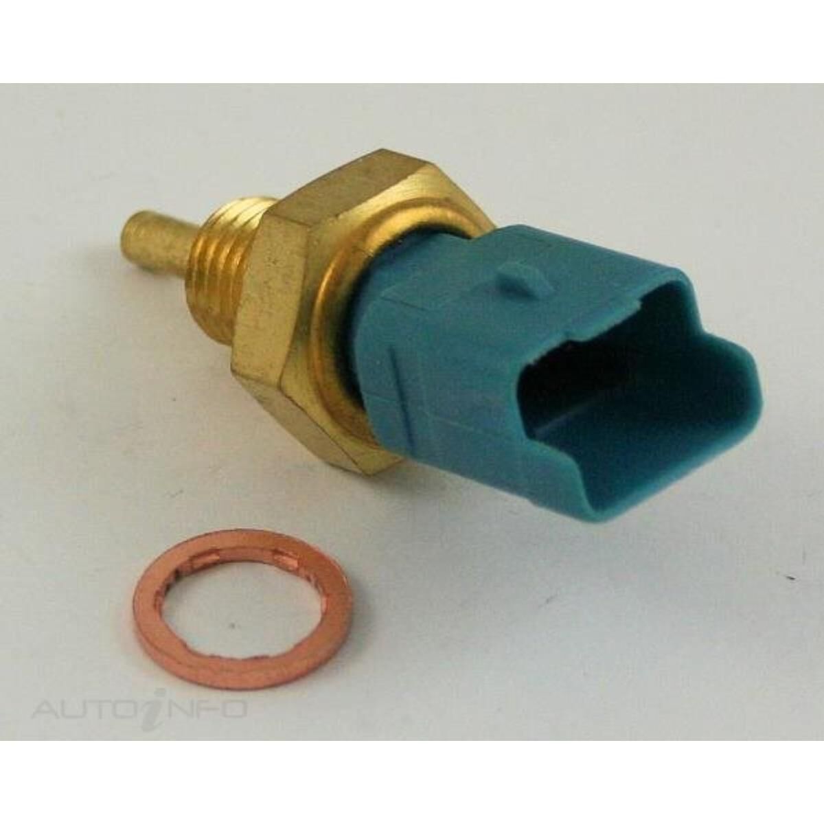RAE Coolant Temperature Sensor - CS912 | Supercheap Auto