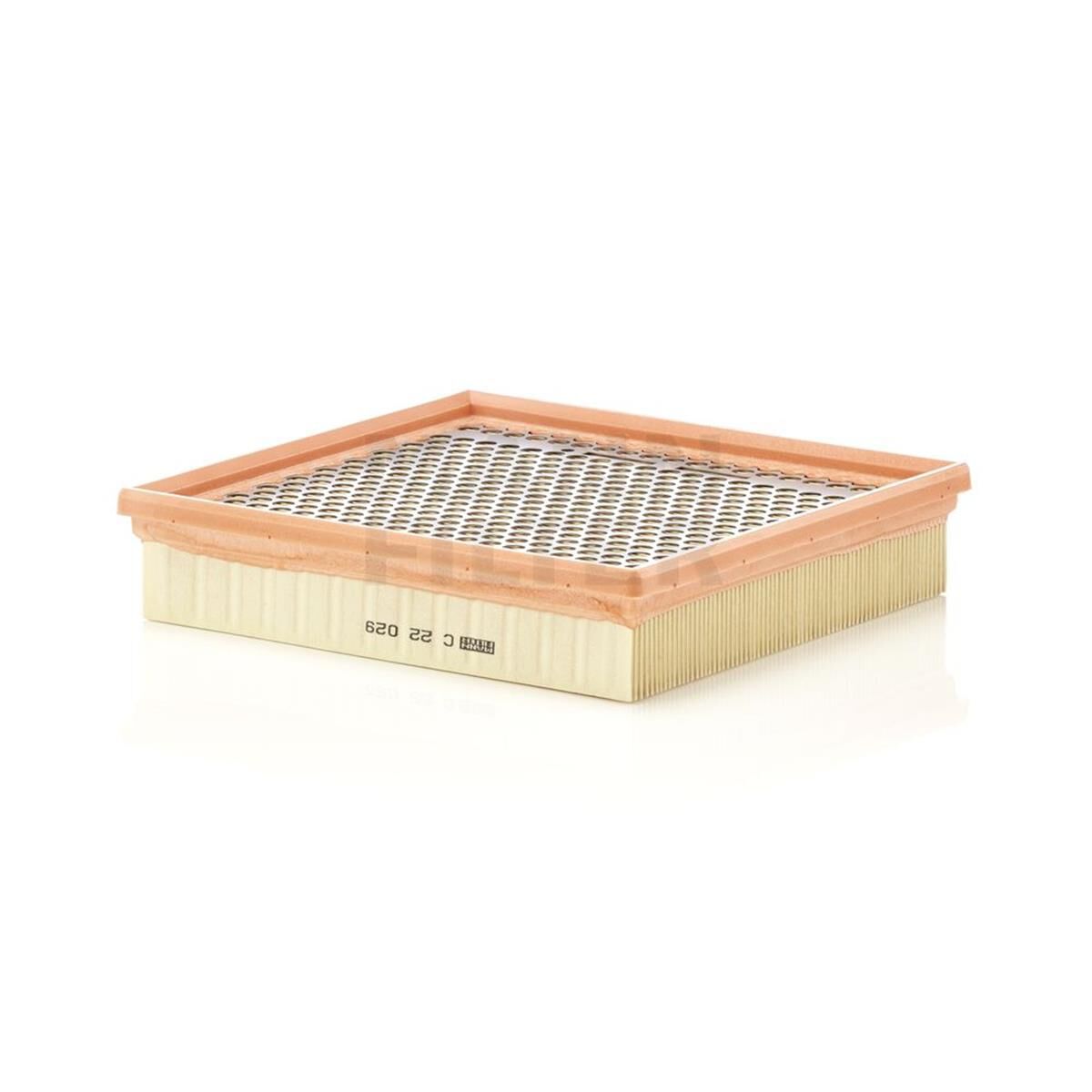 MANN-FILTER Air Filter - C 22 029 | Supercheap Auto