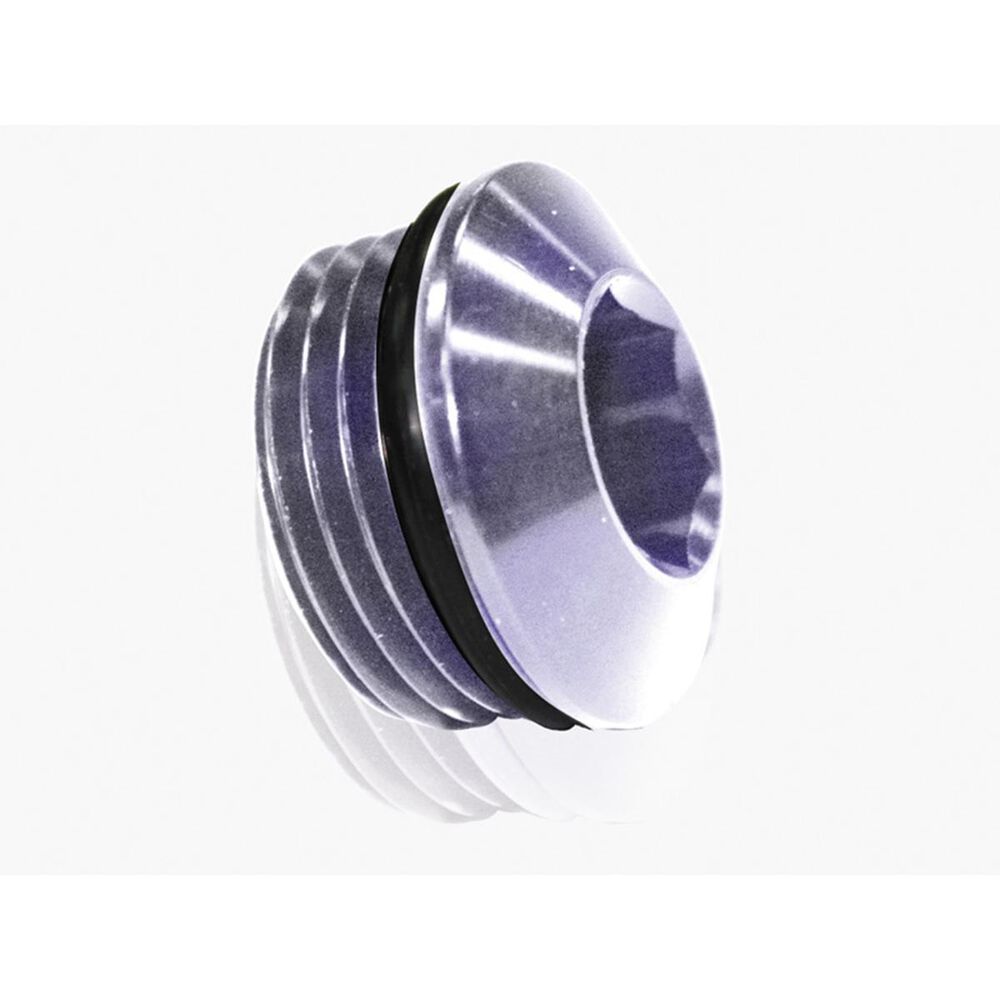 Aeroflow Slimline ORB Port Plug -16AN, AF813-16S | Supercheap Auto