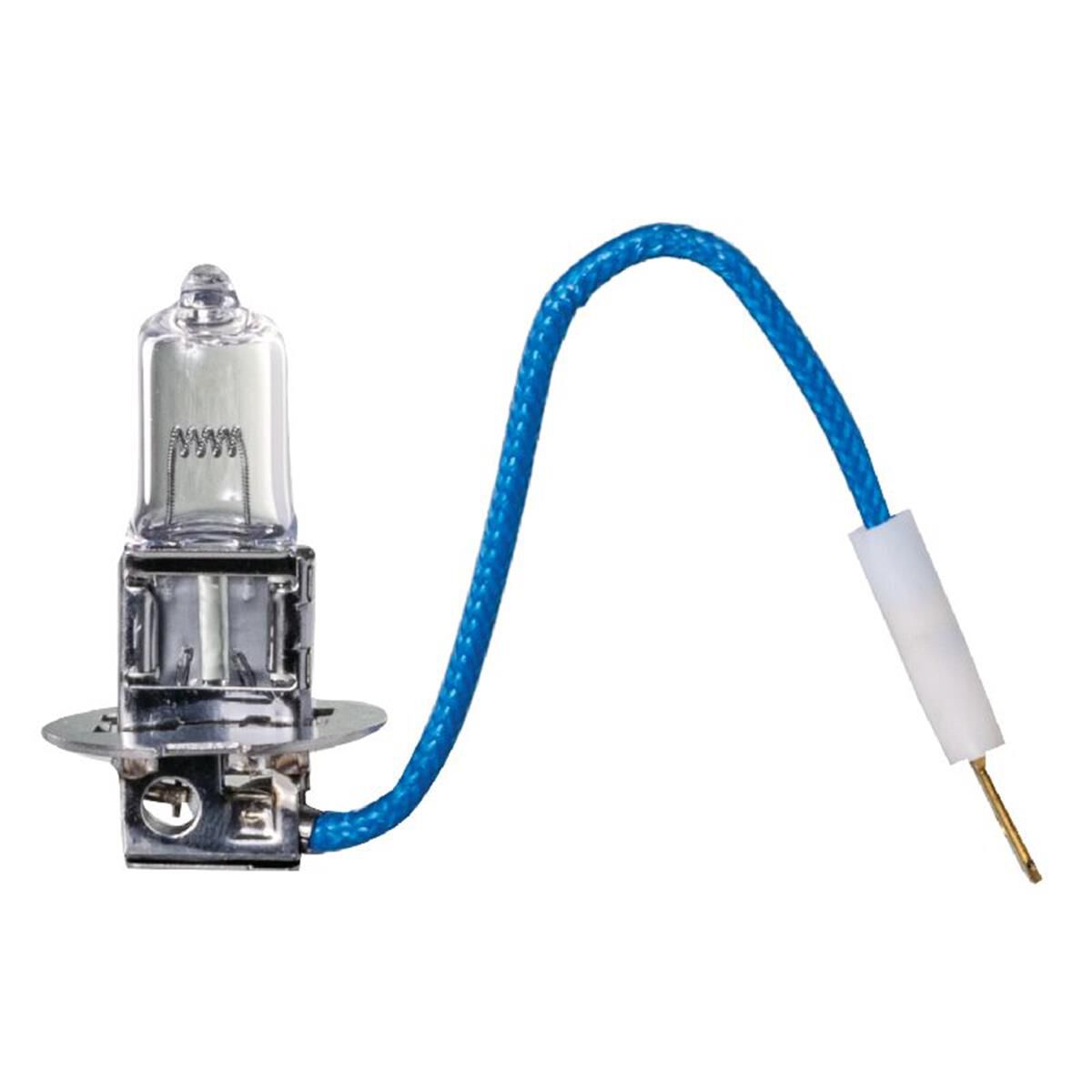 Ignite H3 Rally 100W Halogn Globe with PK22S Base - 1pk - IGL2135BL ...