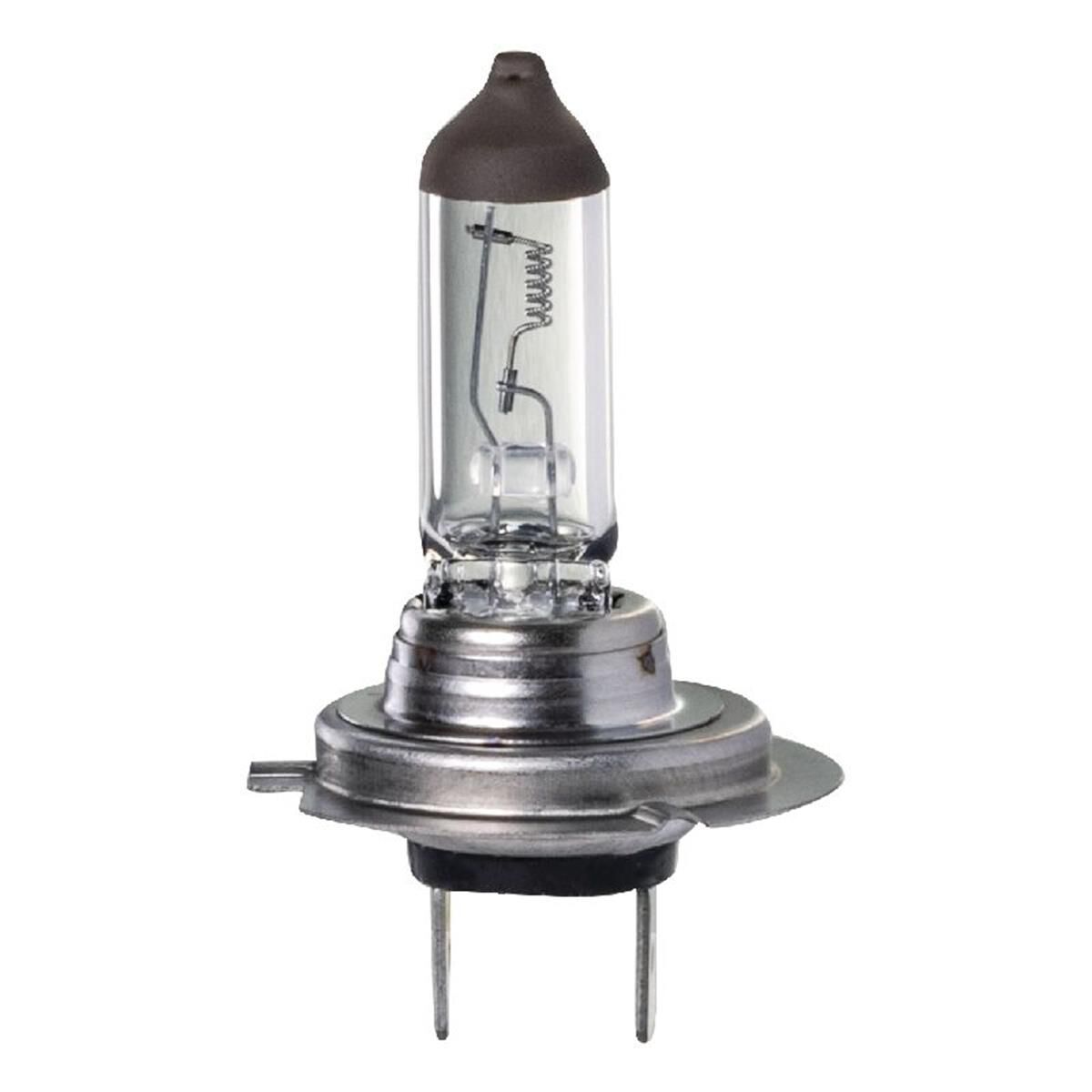 Ignite H7 70W Halogen Globe with PX26D Base - Pack of 1 - IGL2165BL ...
