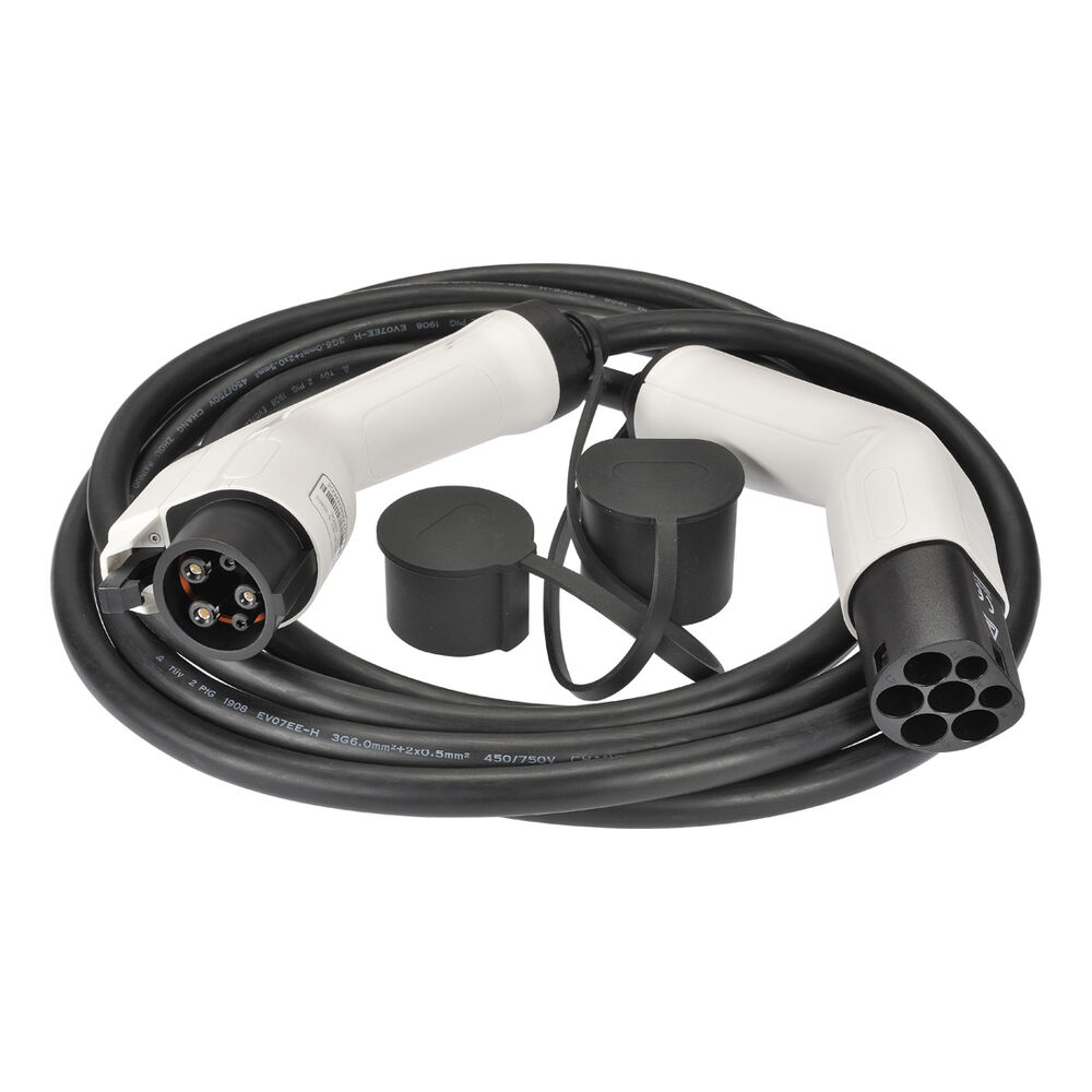Projecta Electric Vehicle Charging Cable 1-Phase Type 2 Inlet To Type 1 ...