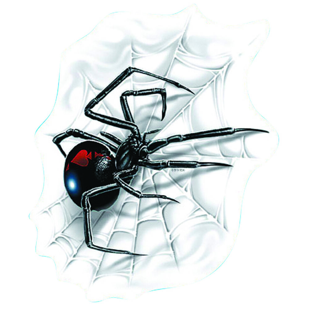 Sticker Spider with Web, Vinyl | Supercheap Auto